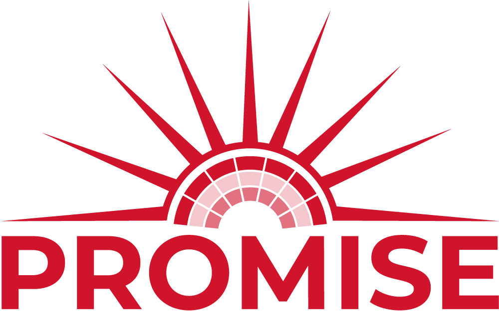 PROMISE – Photovoltaics Reliability Operations and Maintenance Innovative Solutions for Energy ...