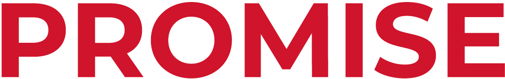 PROMISE – Photovoltaics Reliability Operations and Maintenance Innovative Solutions for Energy ...